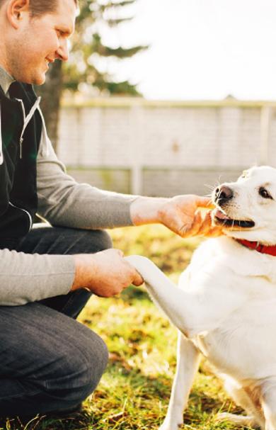 Home | Luton Libraries
